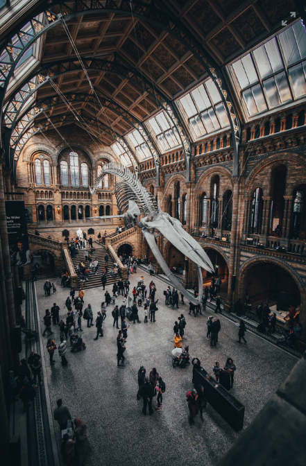 National Park Service Assessment of Museum Collections Storage Management